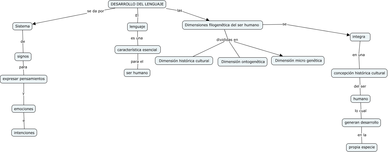 DESARROLLO DEL LENGUAJE